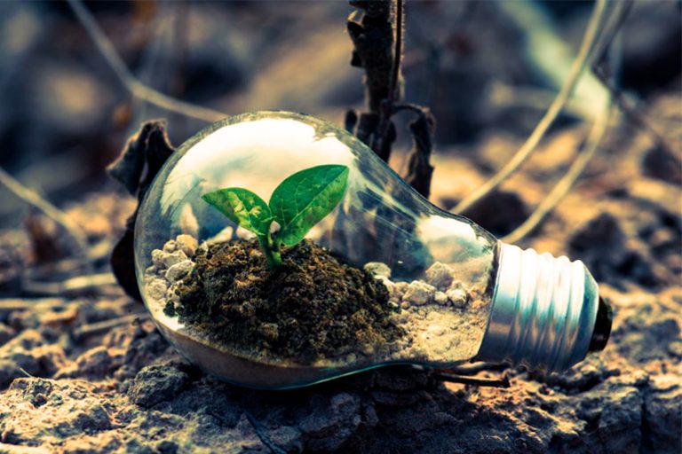 ¿Qué es el Ecodiseño? Todo lo que no sabes