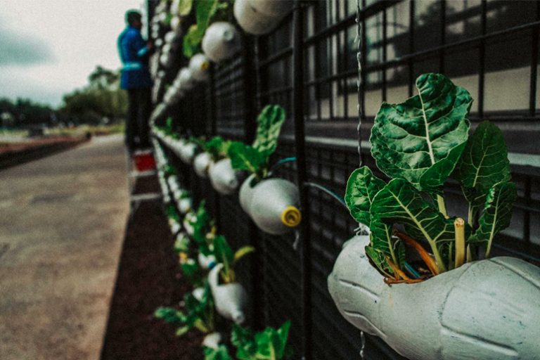 ¿Qué es el Ecodiseño? Todo lo que no sabes